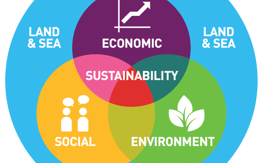 12. CTI Tool - What is the circular economy - CTI Tool